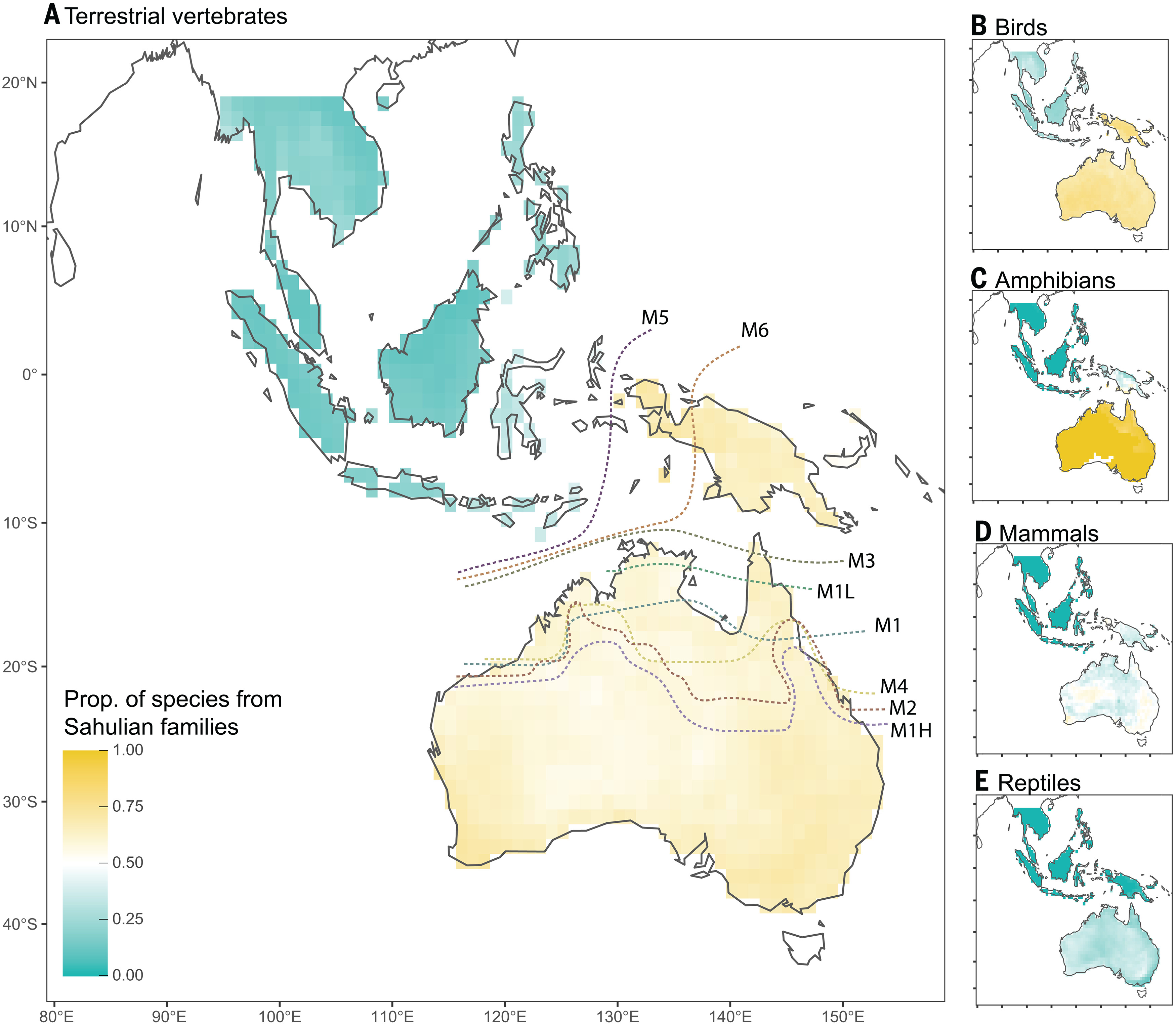 Paleoenvironments shaped the exchange of terrestrial vertebrates across ...